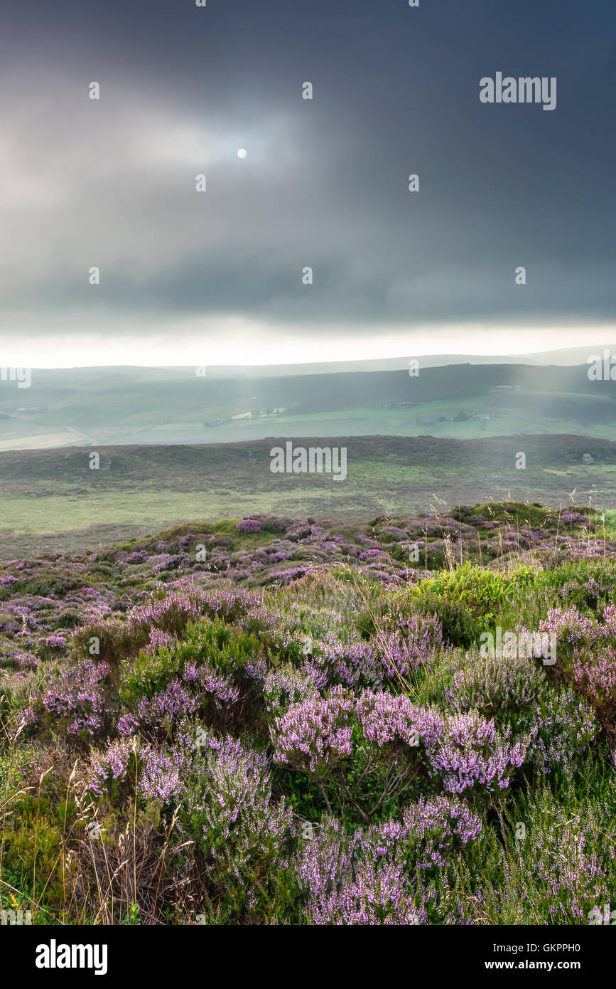 Sunrise over the moors Stock Photo - Alamy