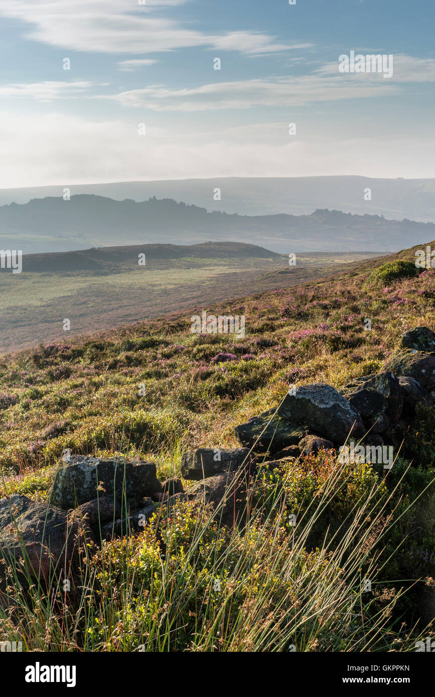 Magnificent landscape of rock formations and moorland at The Roaches in ...