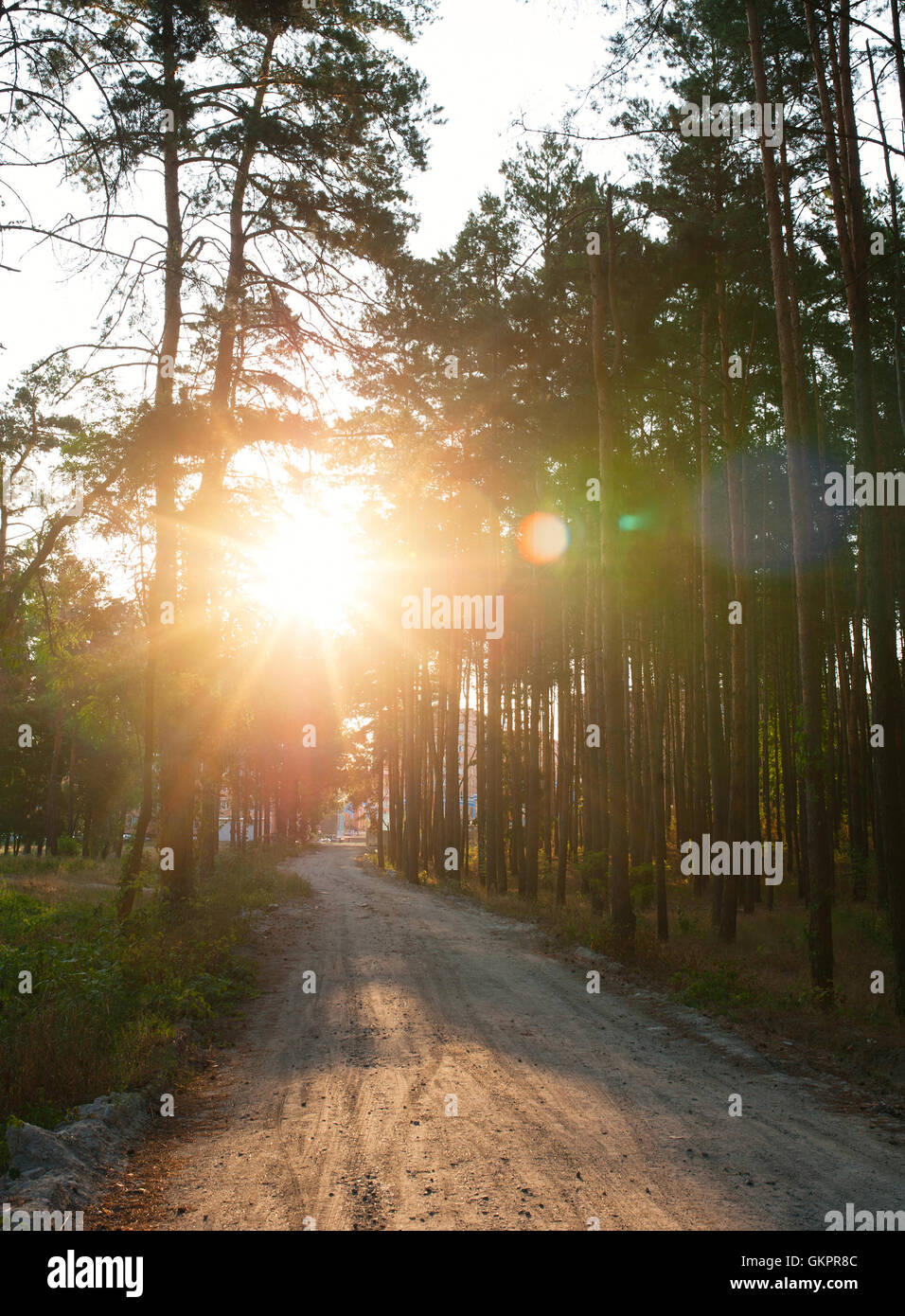 Peaceful forest setting hi-res stock photography and images - Alamy