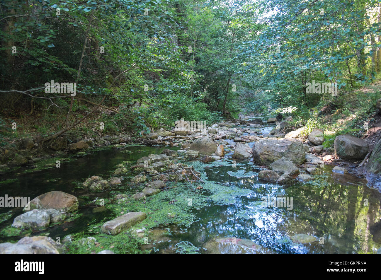 Cooling stream river in valley during hot summer near bugarach ...