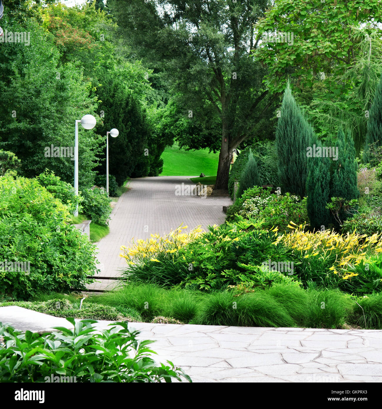 beautiful park for walking and recreation Stock Photo - Alamy