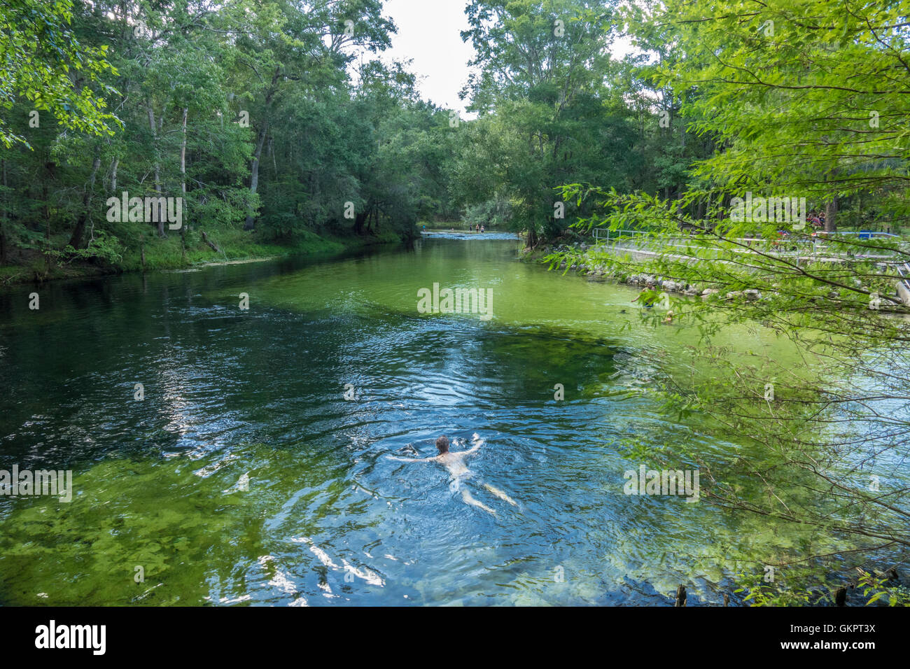Poe Springs at Santa Fe river, Gilchrist County, Florida Stock Photo ...