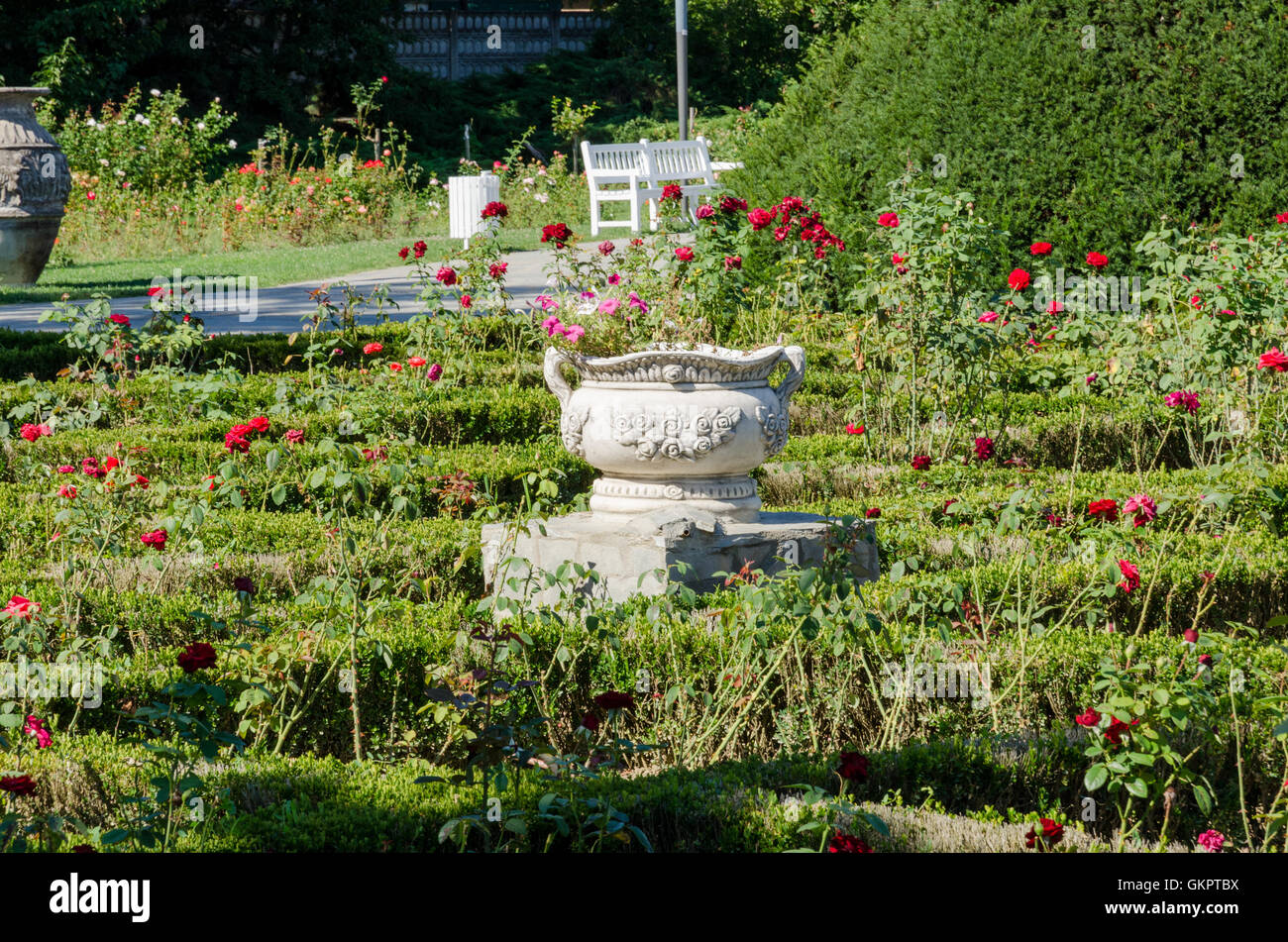 a park filled with red roses and greenery Stock Photo - Alamy