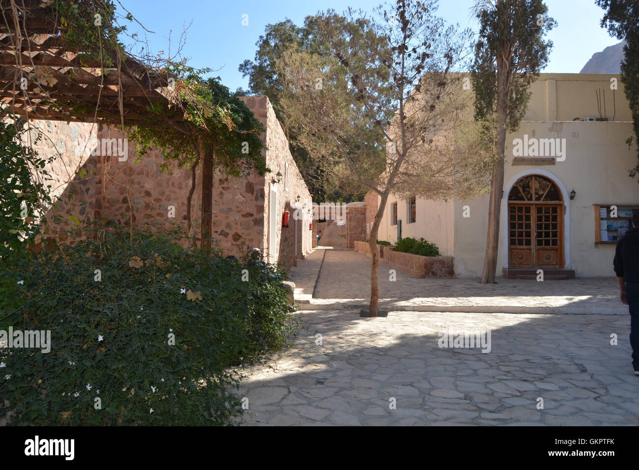 Saint Catherine's Monastery, Mt. Sinai, Egypt Stock Photo - Alamy