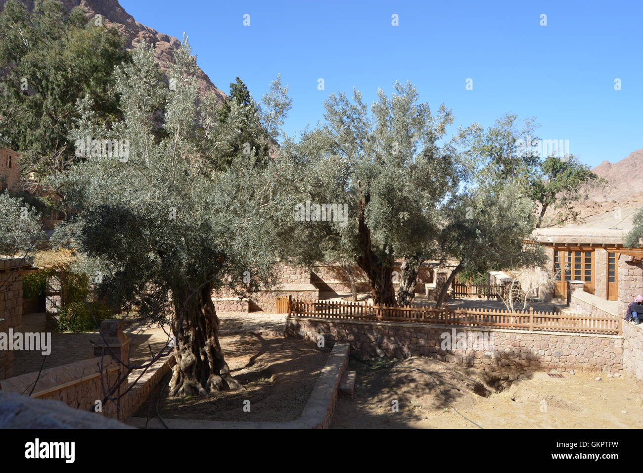 Saint Catherine's Monastery, Mt. Sinai, Egypt Stock Photo - Alamy