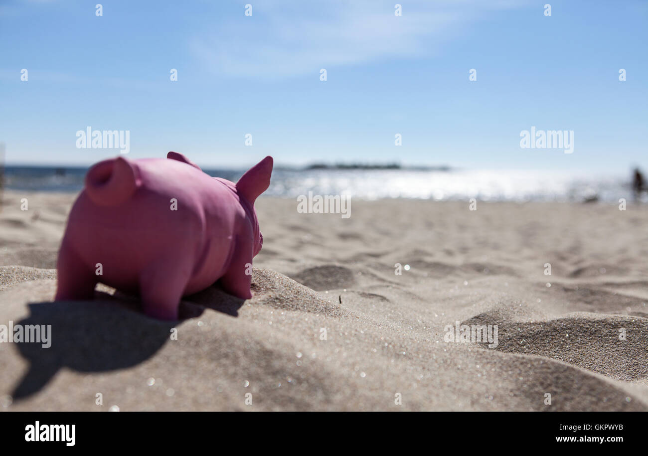 Illustrative Editorial. View of a beach, the sea, rubber pig toy in ...