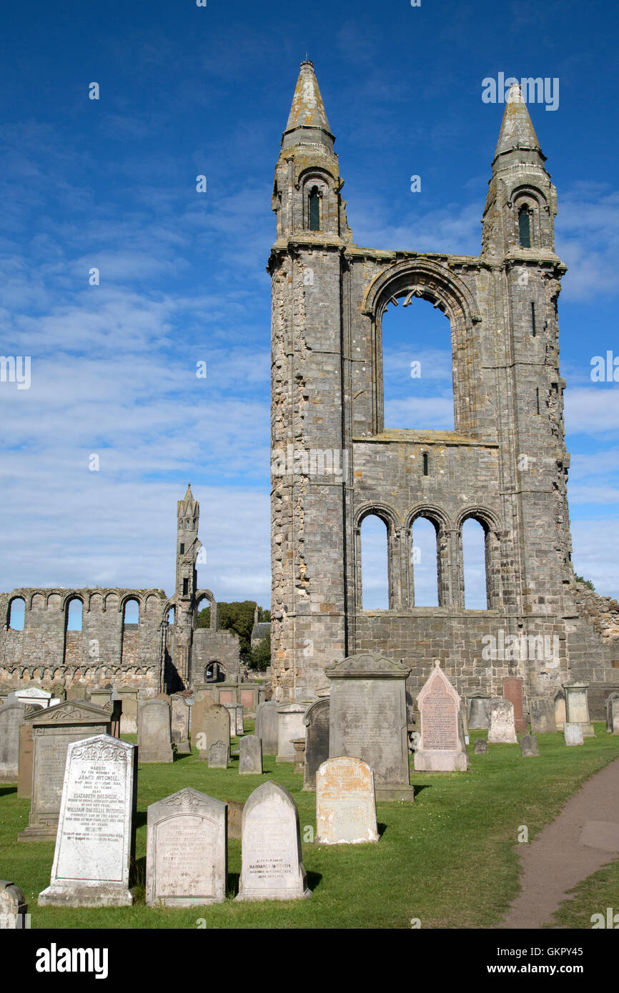 Gravestones and Cathedral Ruins, St Andrews, Scotland Stock Photo - Alamy