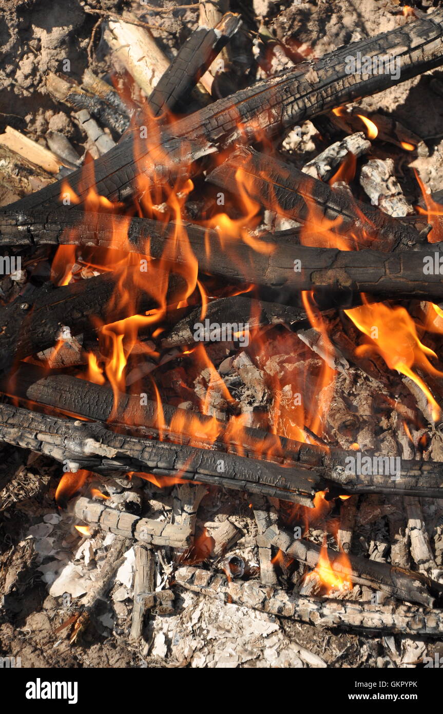 Calm red and orange fire of campfire Stock Photo - Alamy