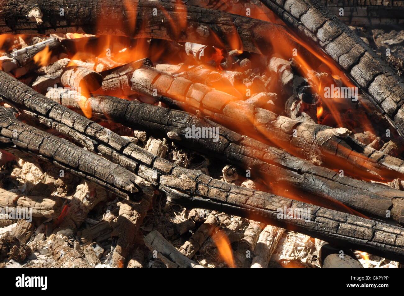 Calm red and orange fire of campfire Stock Photo - Alamy