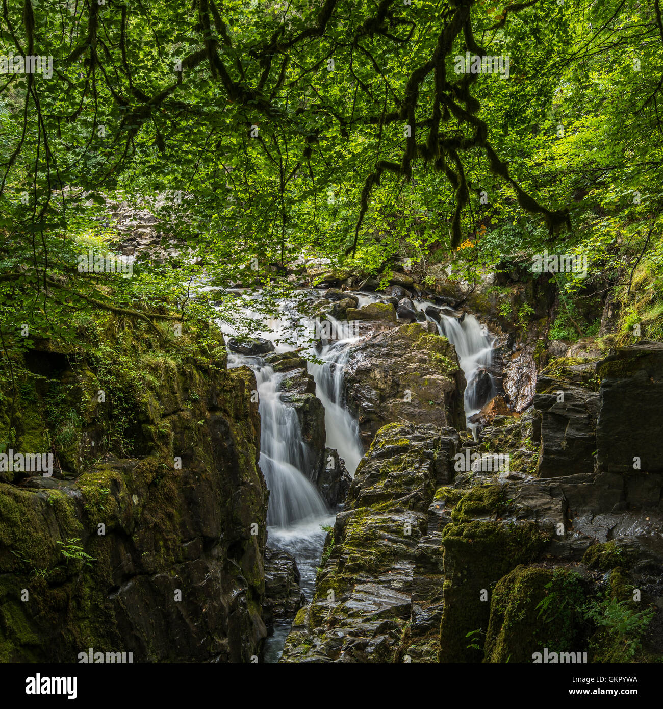 The Black Linn Falls at the Hermitage in Perthshire Scotland Stock ...