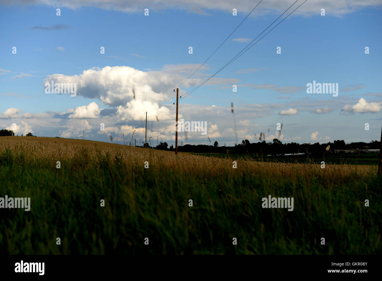 Nice looking sky hi-res stock photography and images - Alamy