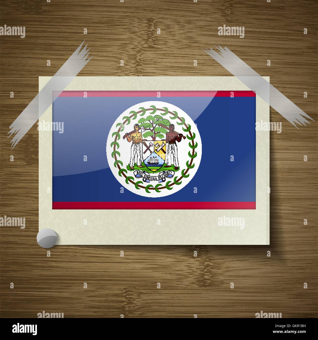 Flags Belize at frame on wooden texture. Vector Stock Vector Image ...