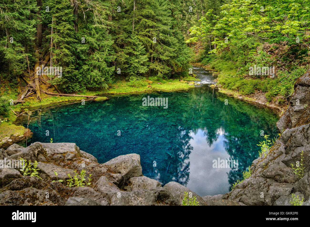 Tamolitch Pool, AKA Blue Pool, on the McKenzie River, Oregon Stock ...
