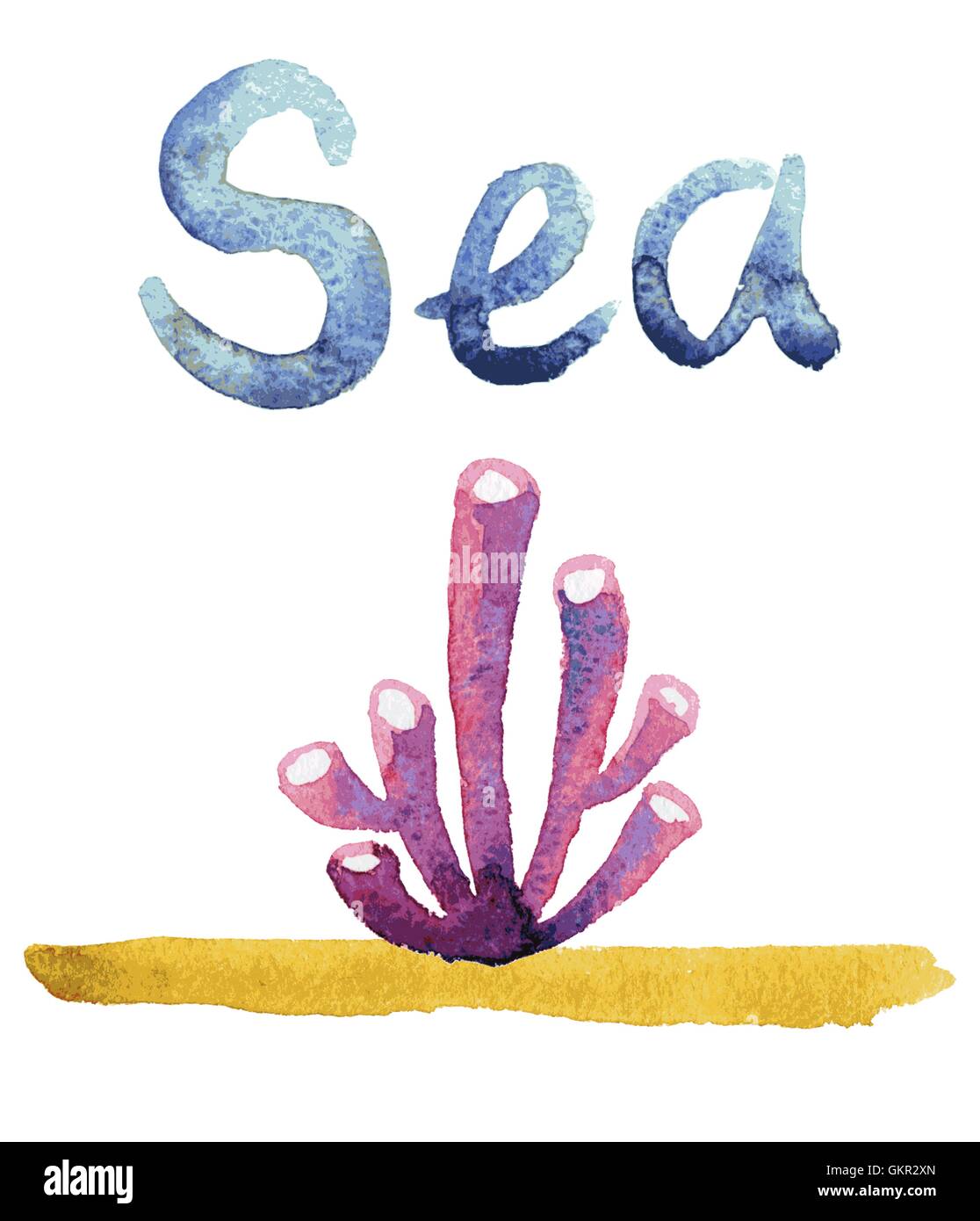 Shell watercolor Stock Vector Images - Alamy