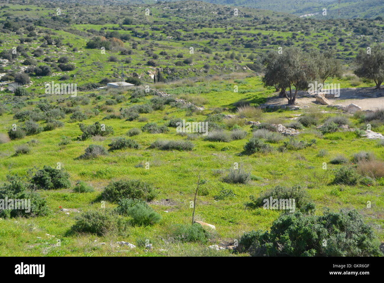 Beit Guvrin-Maresha National Park, Israel Stock Photo - Alamy