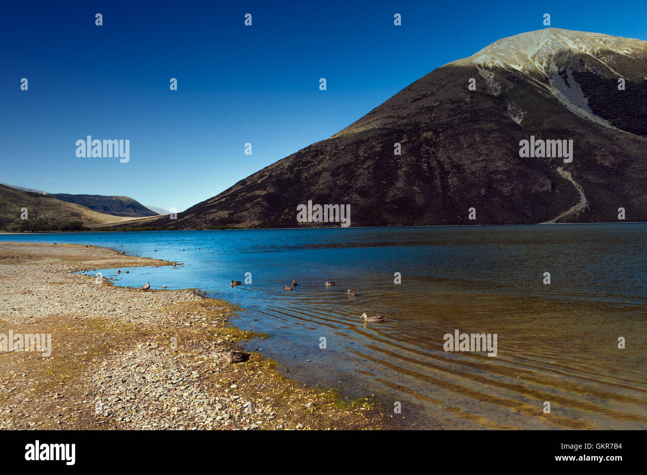 Lake Pearson / Moana Rua Wildlife Refuge located in Craigieburn Forest ...