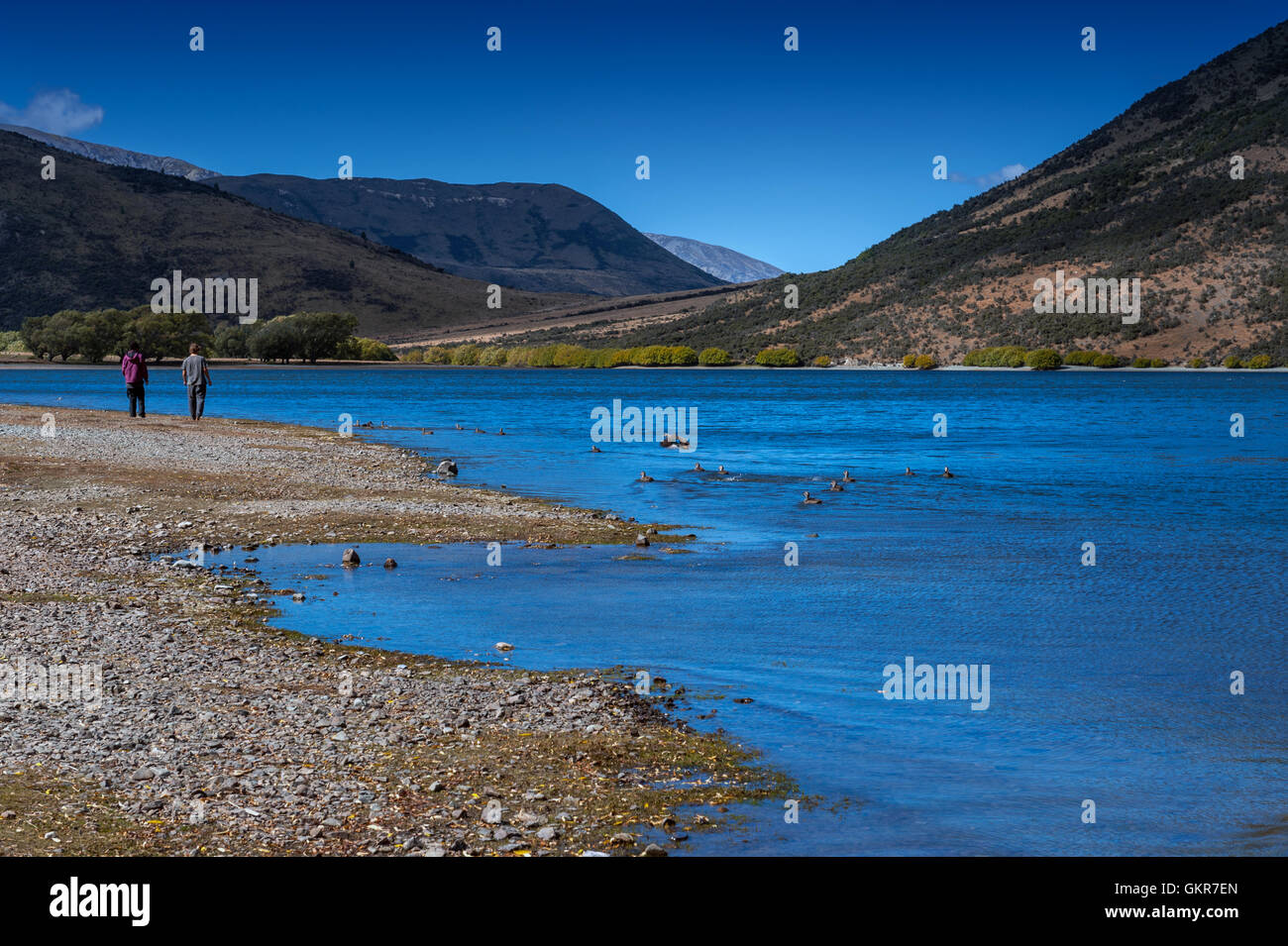 Lake Pearson / Moana Rua Wildlife Refuge located in Craigieburn Forest ...