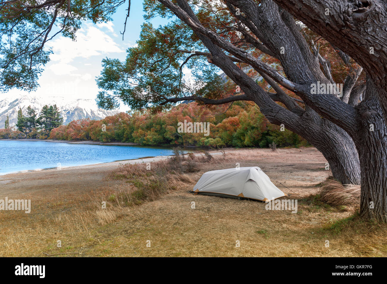 Campsite at Lake Pearson / Moana Rua Wildlife Refuge located in ...