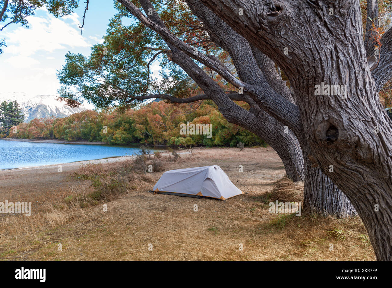 Campsite at Lake Pearson / Moana Rua Wildlife Refuge located in ...