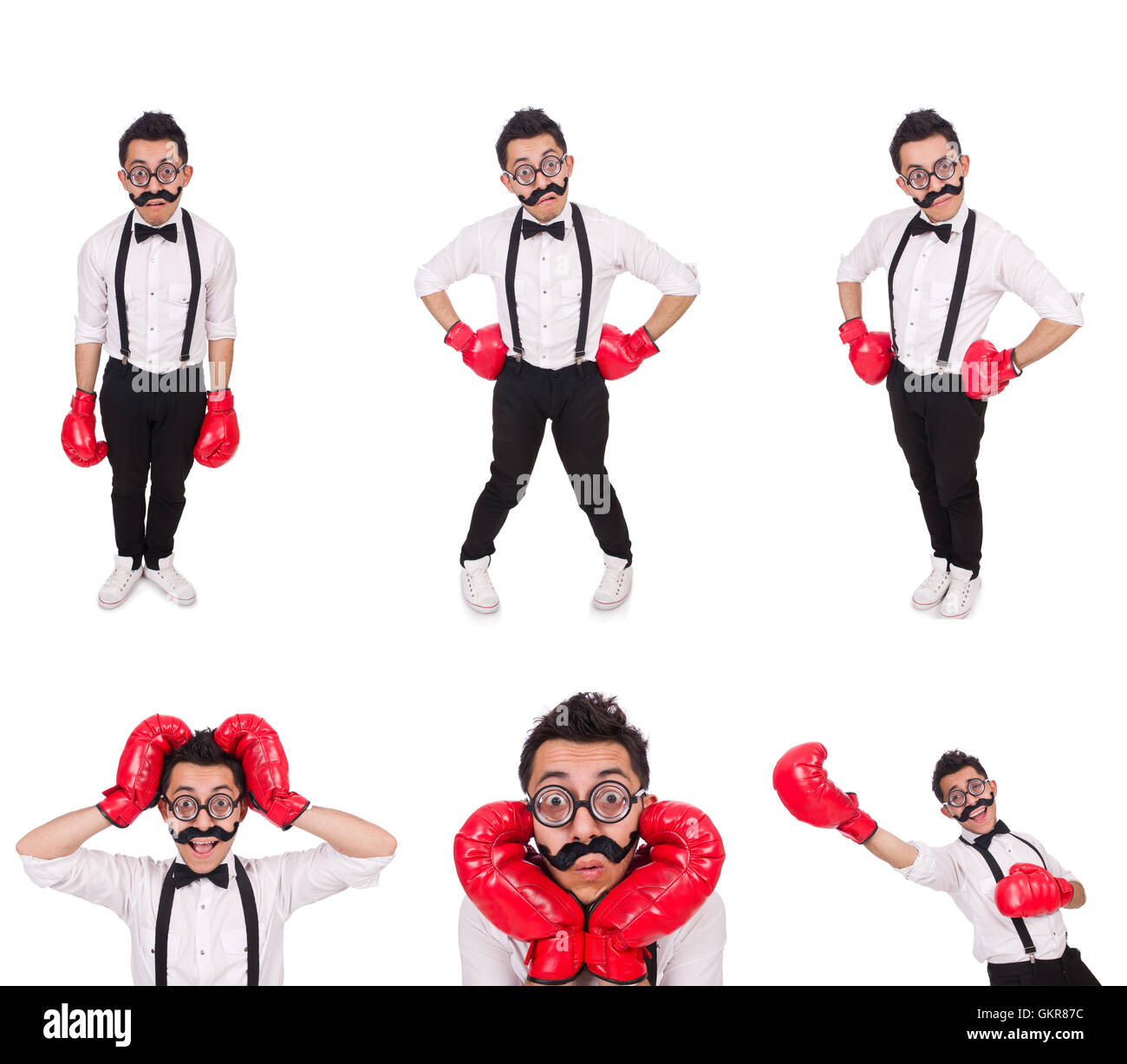 Funny boxer isolated on the white background Stock Photo - Alamy