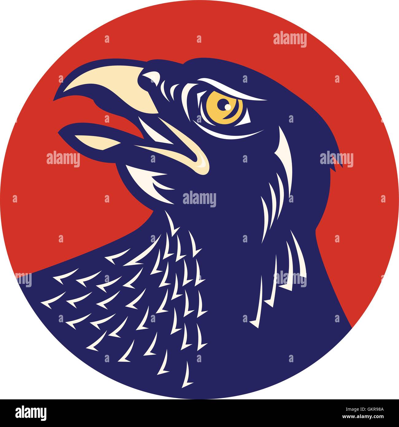 Hawk Head Looking Up Circle Retro Stock Vector Image & Art - Alamy