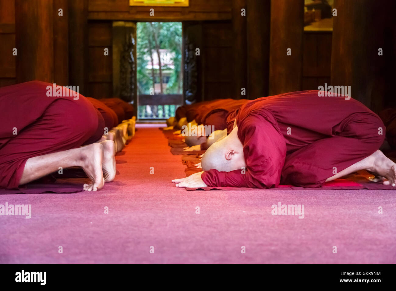 Buddhist monks in traditional red robes praying at evening prayer, Shwe ...