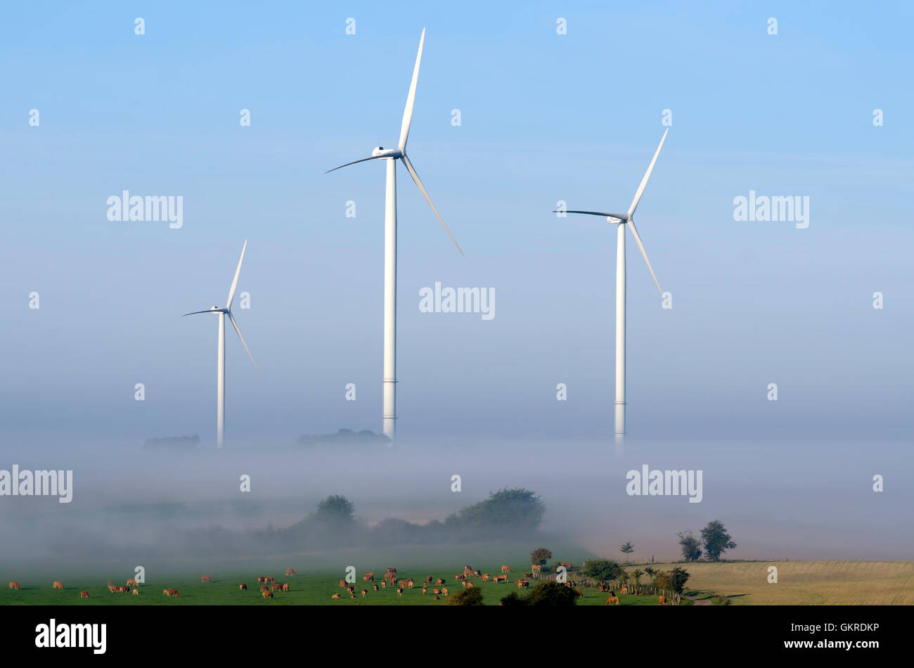 Fog wind turbine hi-res stock photography and images - Alamy