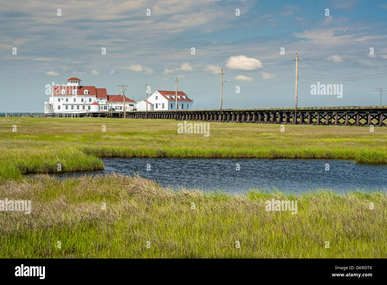 Wetlands bridge hi-res stock photography and images - Alamy