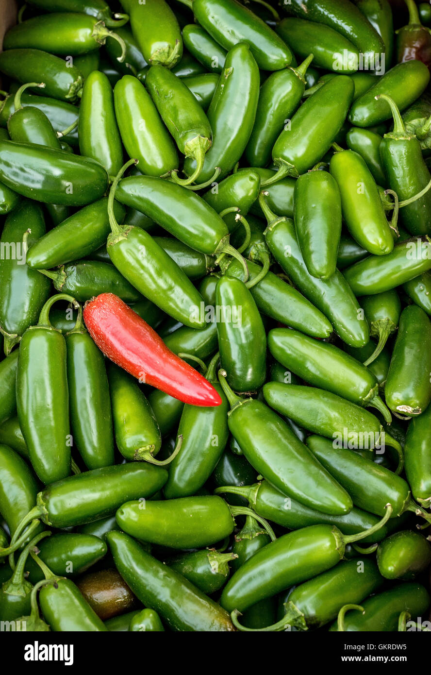 Many green peppers and one red one Stock Photo - Alamy