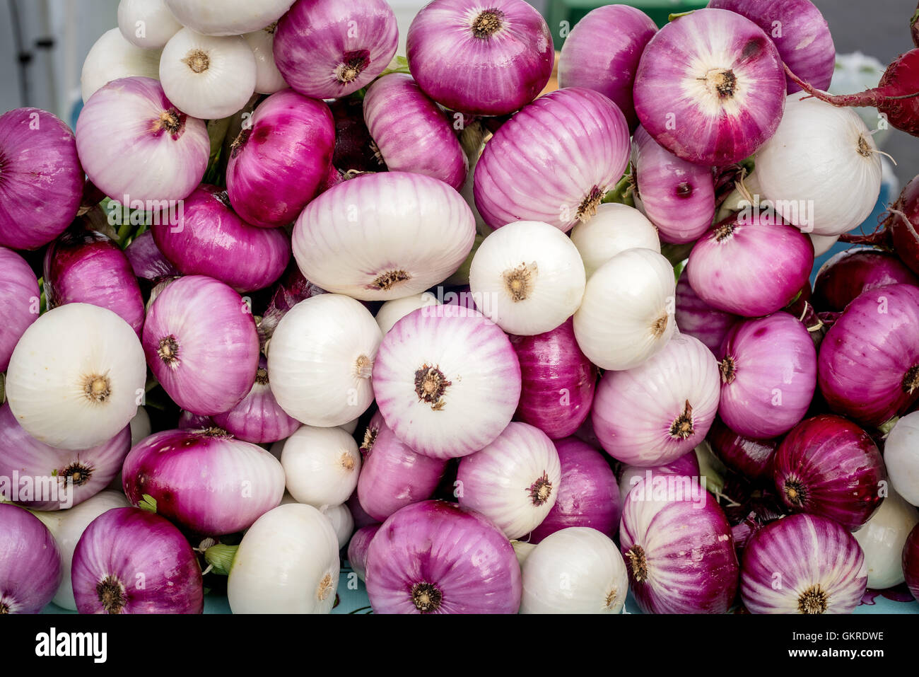 Assorter hi-res stock photography and images - Alamy