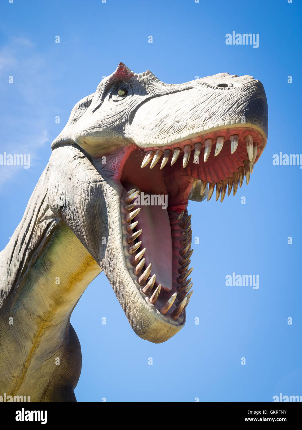 Albertosaurus Prehistoric Park