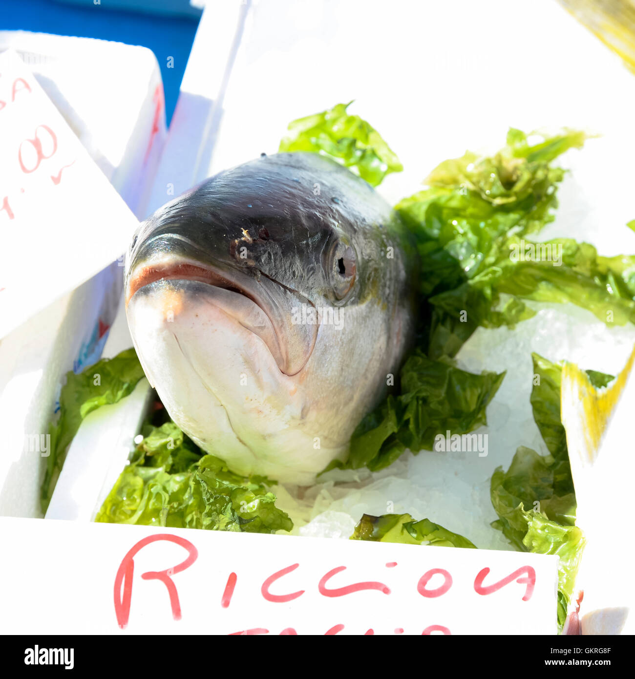 Ricciola (yellowtail fish) in market in Naples, Italy Stock Photo - Alamy