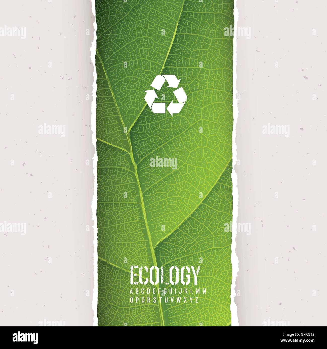 Note memo model design Stock Vector Images - Alamy