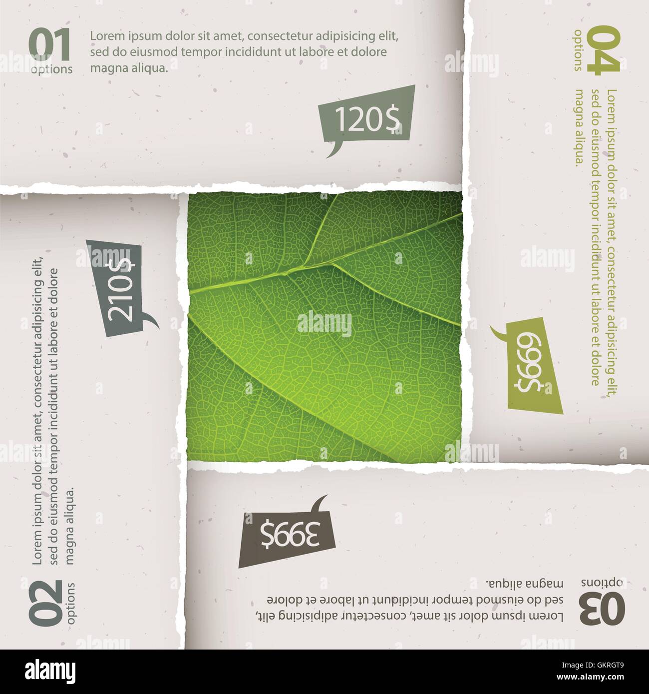 info presentation brochure leaf eco environment enviroment chart model ...