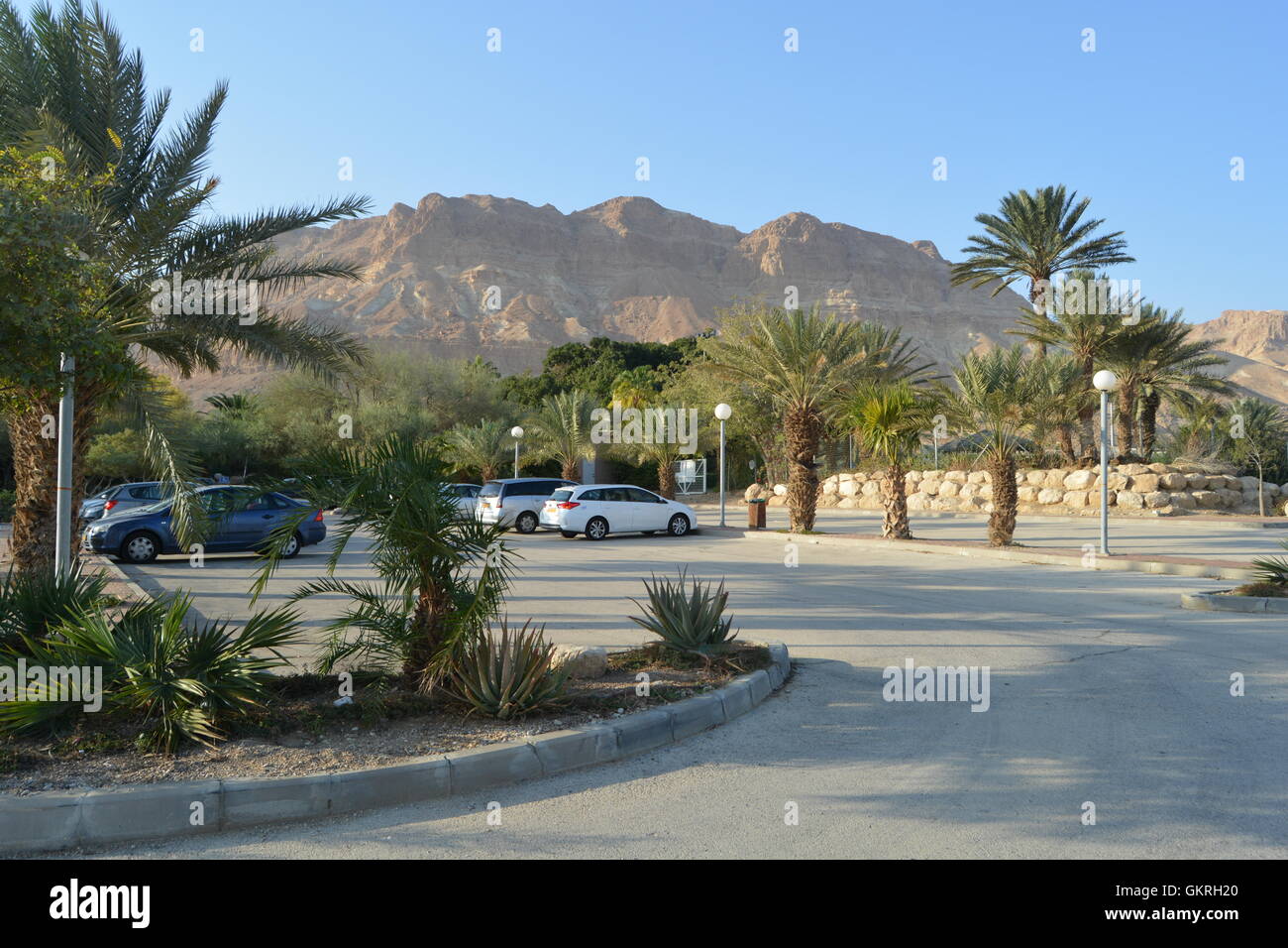 En Gedi, Israel Stock Photo - Alamy