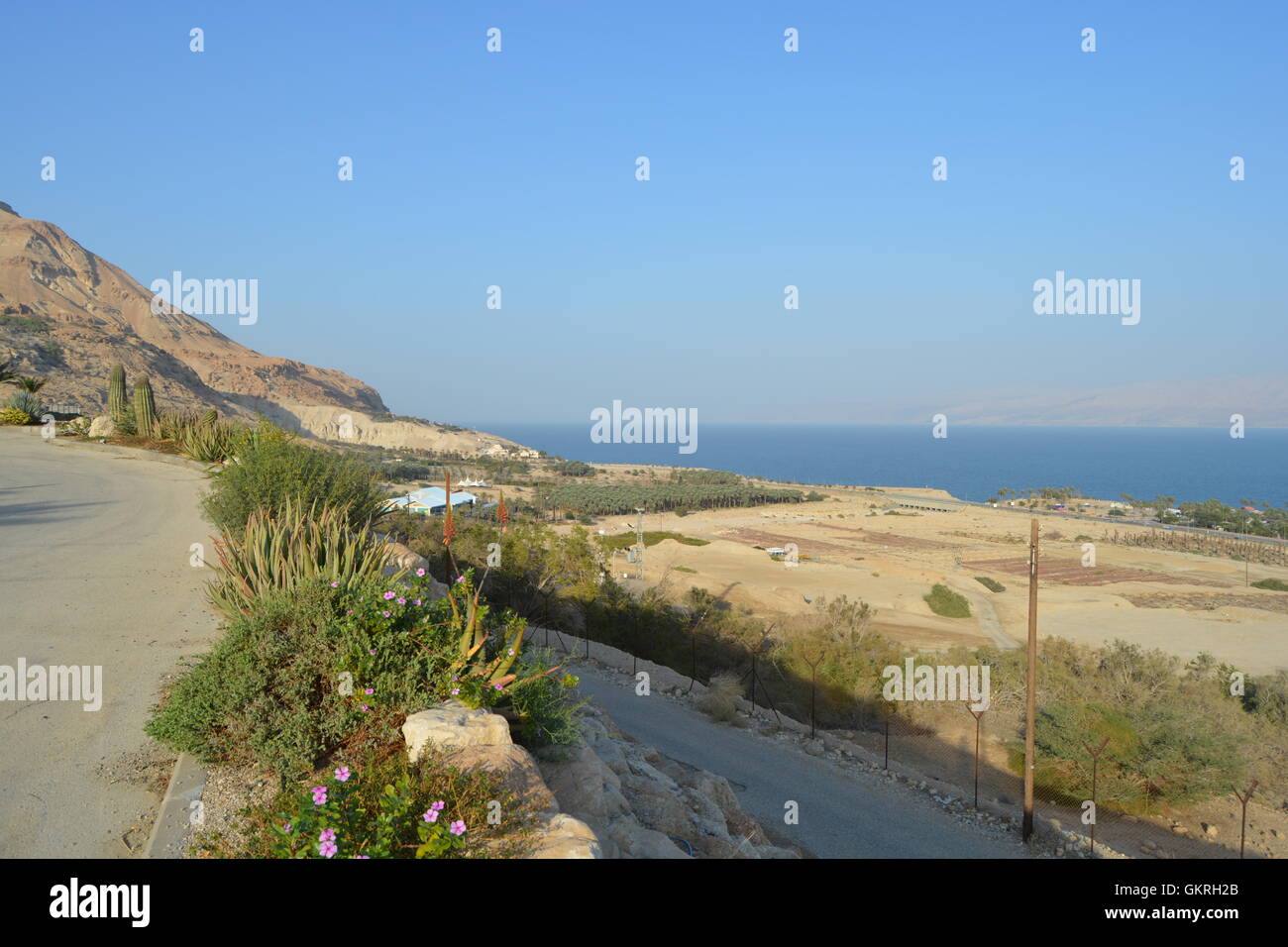 En Gedi, Israel Stock Photo - Alamy