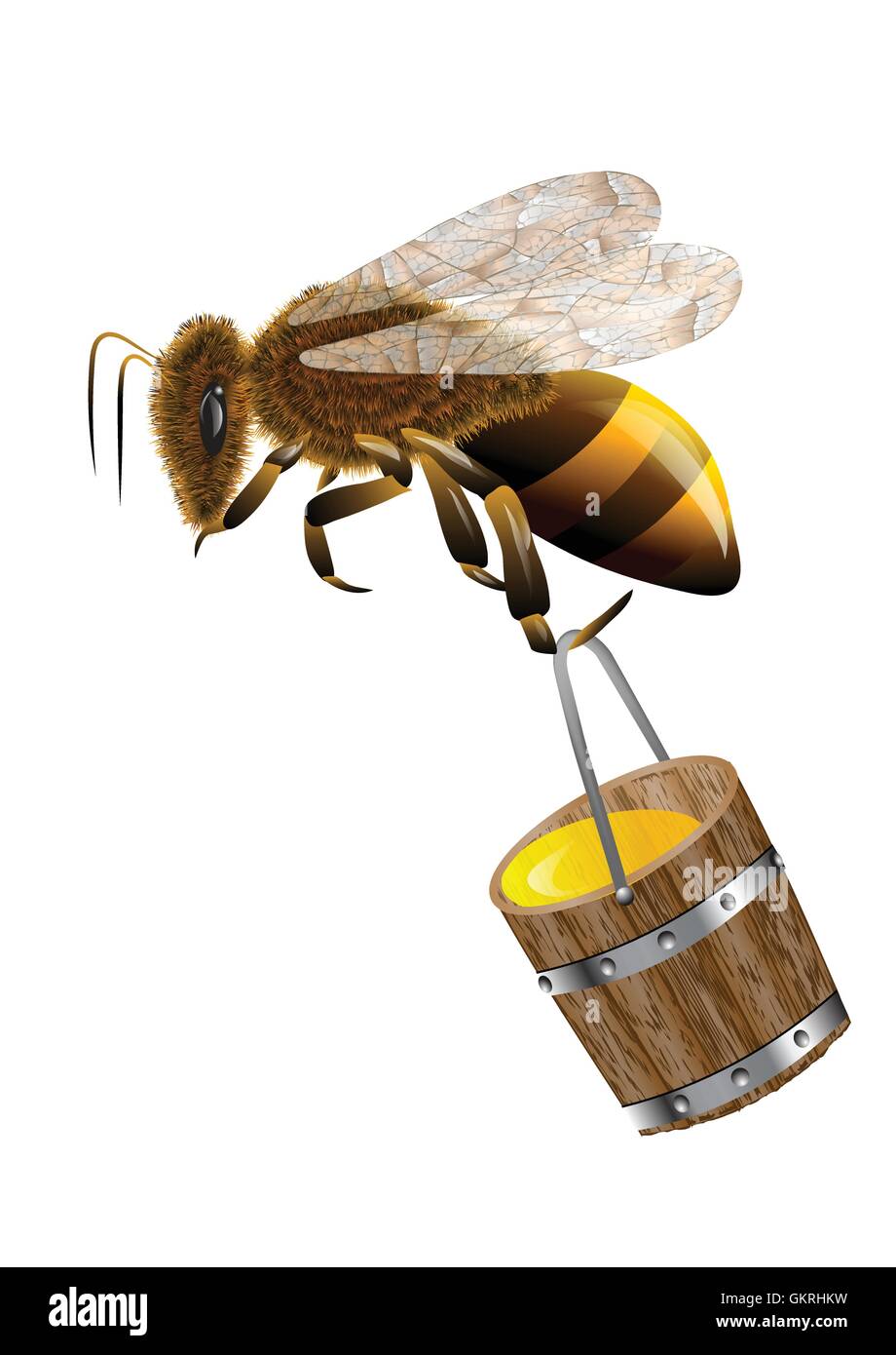 Harvest honey bee Stock Vector Images - Alamy