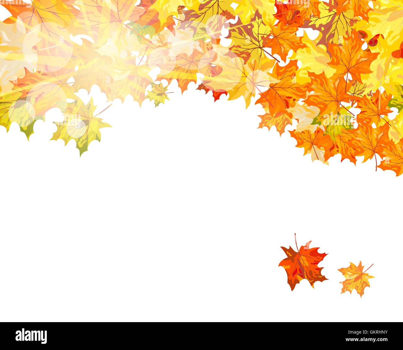 Nice background yellow maple Stock Vector Images - Alamy