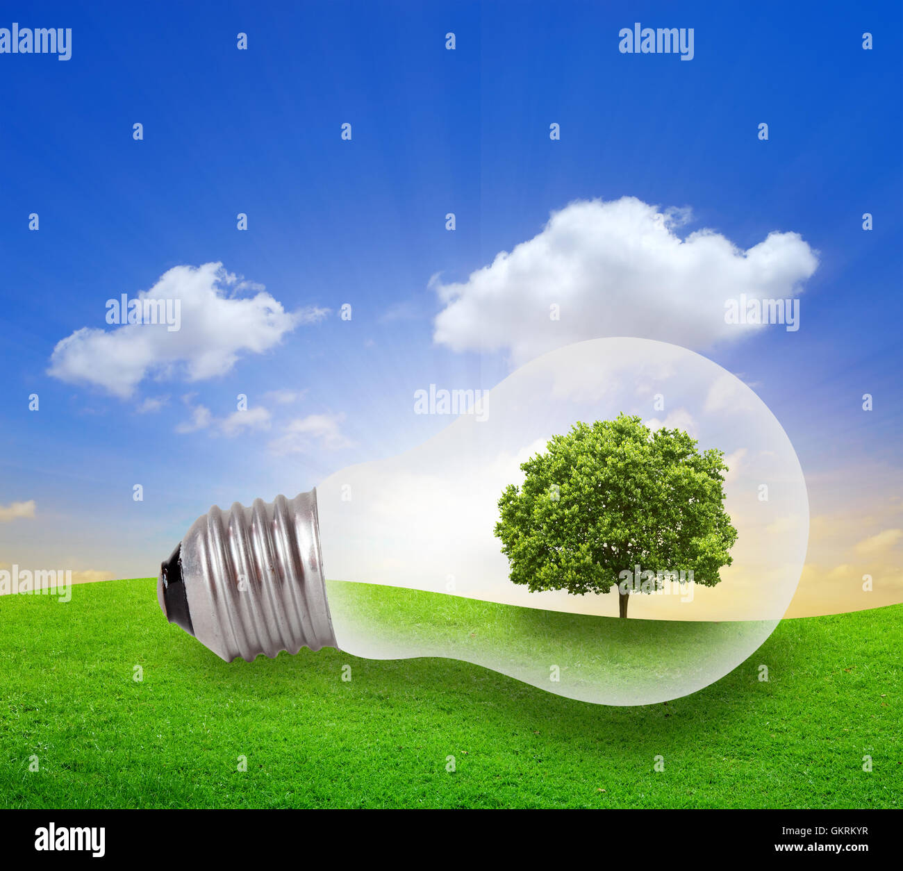 Eco concept, green tree growing in a bulb with blue sky Stock Photo - Alamy