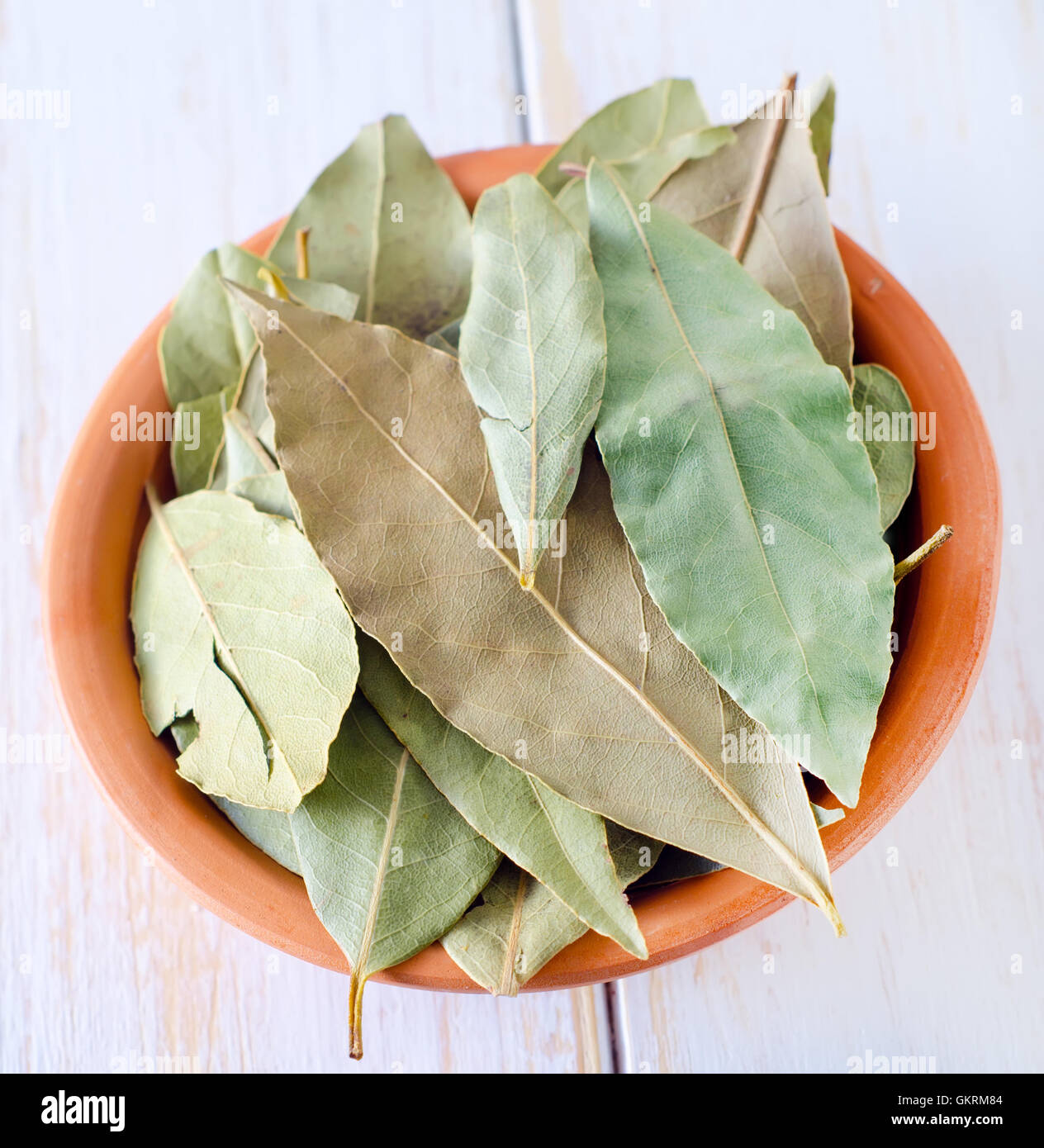 Laurel sheet hi-res stock photography and images - Alamy