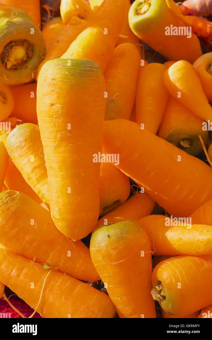 Short Fat Carrots Stock Photo - Alamy
