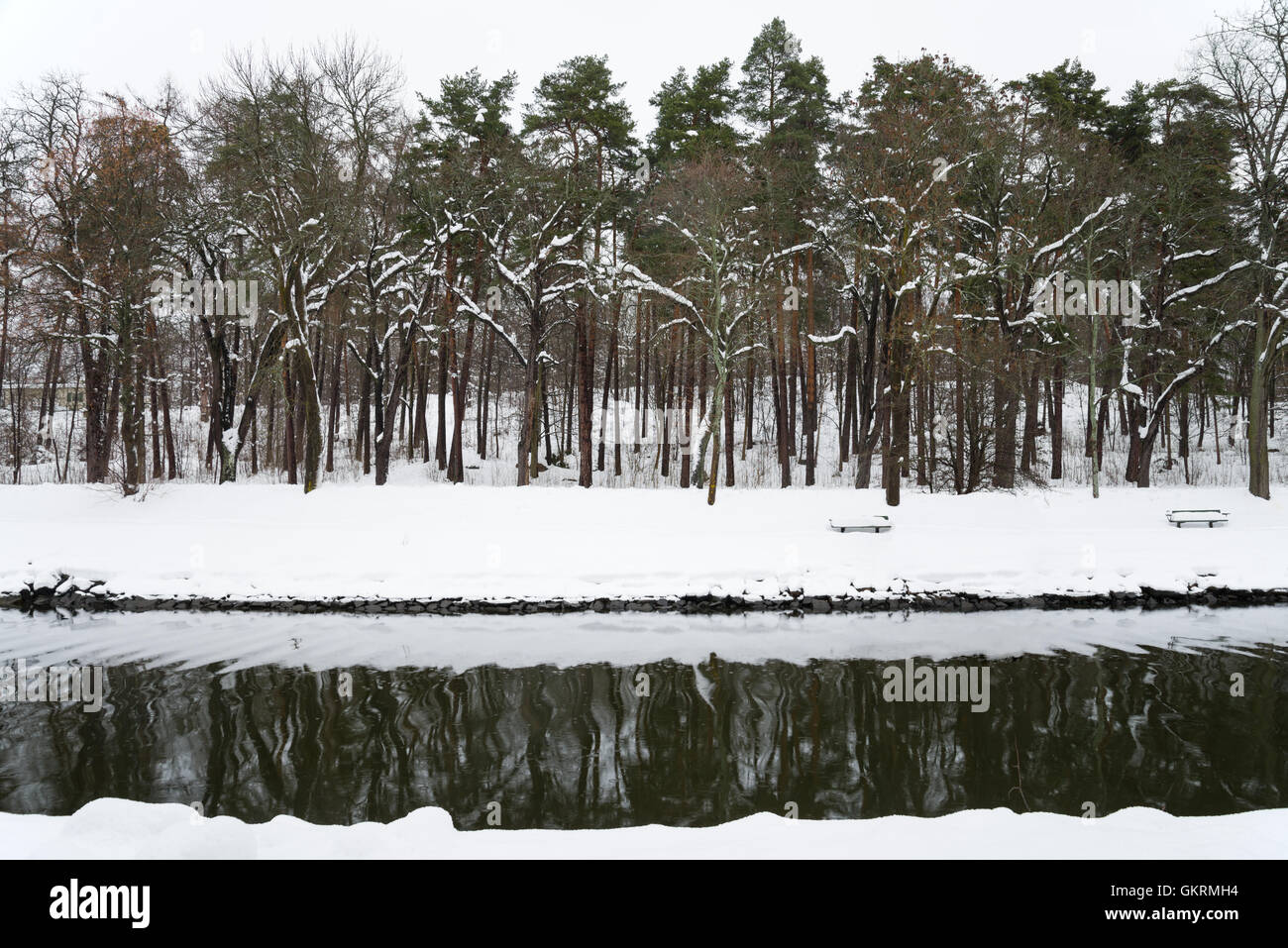 Winter landscape, trees growing by a calm river Stock Photo - Alamy