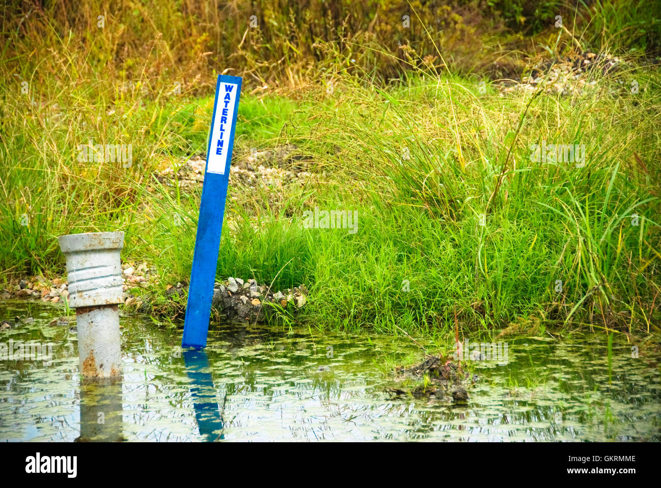 Waterline sign in lush pond Stock Photo - Alamy