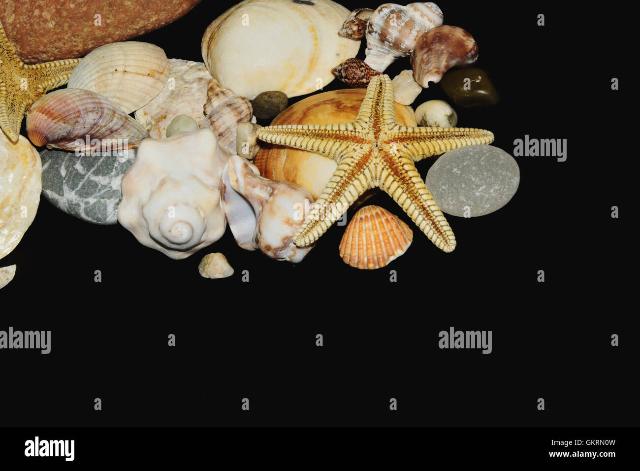 Shells, starfish, pebbles on a black background Stock Photo - Alamy