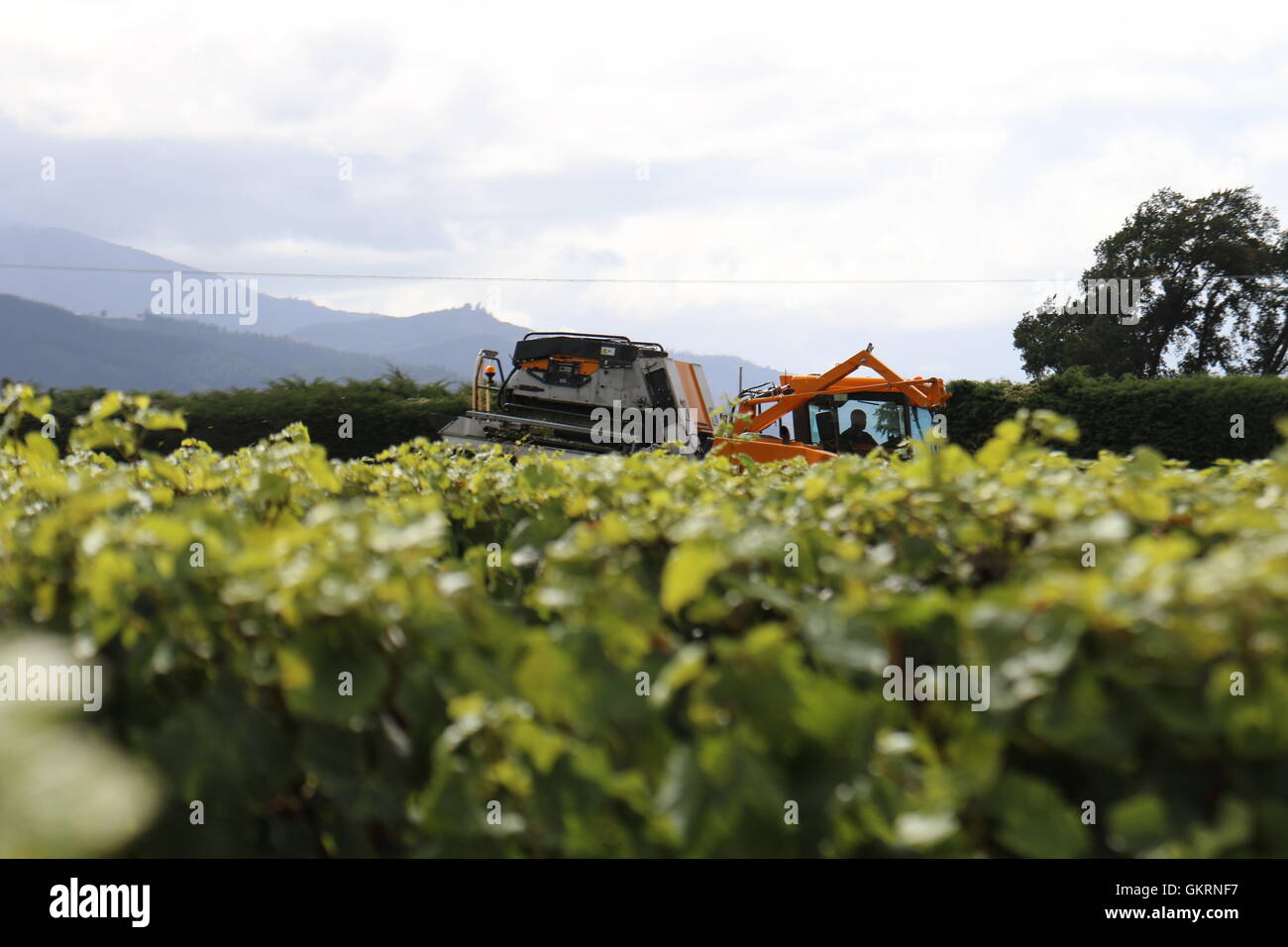 Vine machine hi-res stock photography and images - Alamy