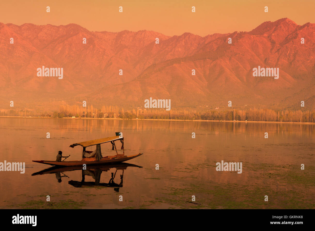 Sunset Dal Lake in Srinagar, Kashmir, India Stock Photo - Alamy