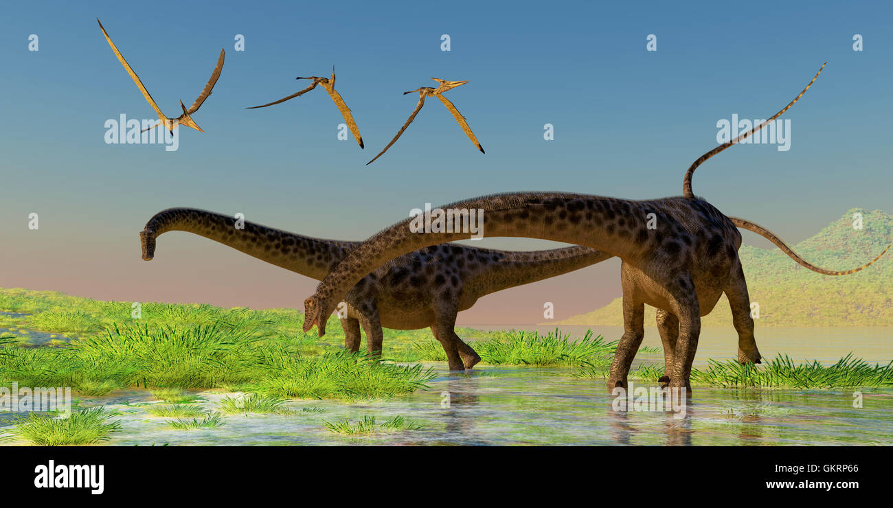 Diplodocus dinosaur hi-res stock photography and images - Alamy