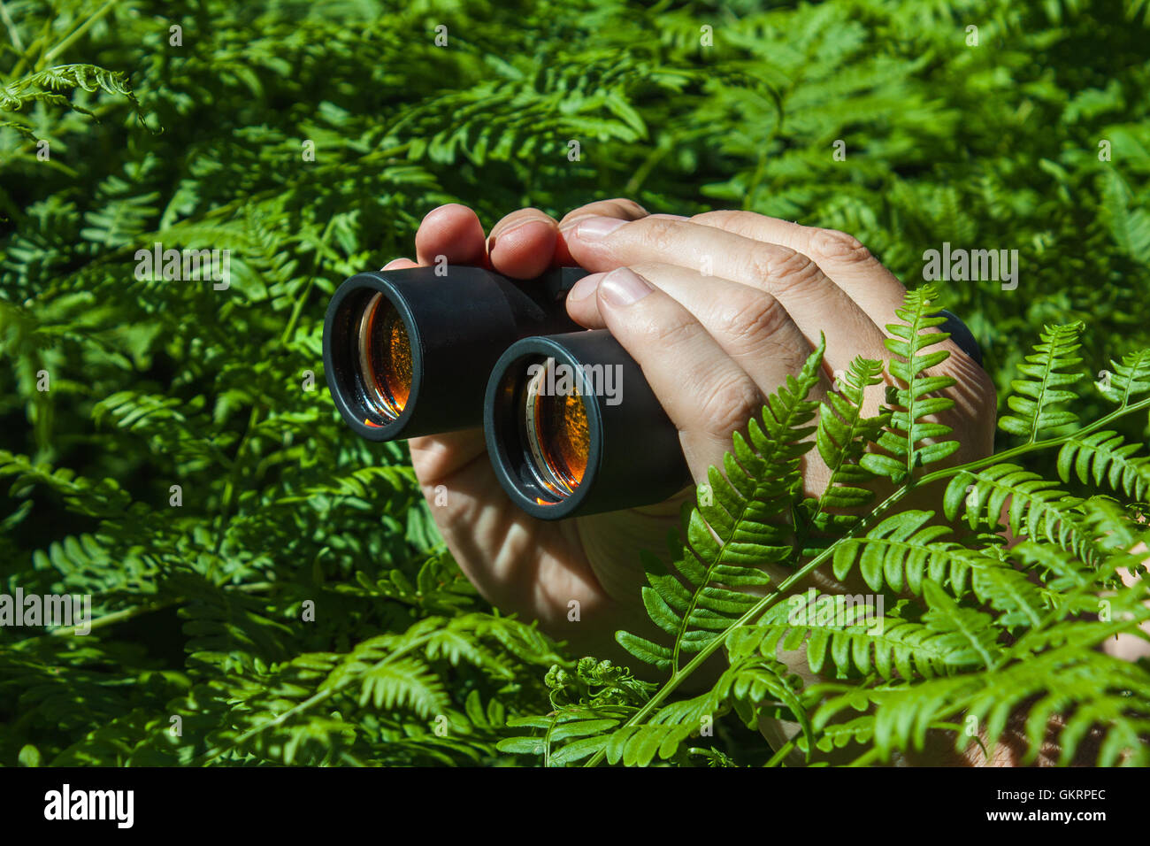 Binoculars in hand from the bushes Stock Photo - Alamy