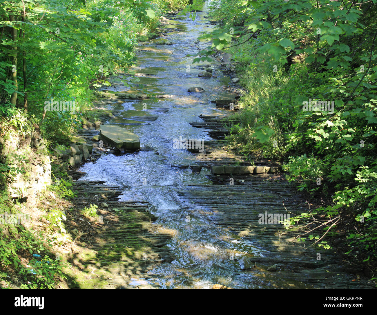 Forest brook running over mossy rocks Stock Photo - Alamy