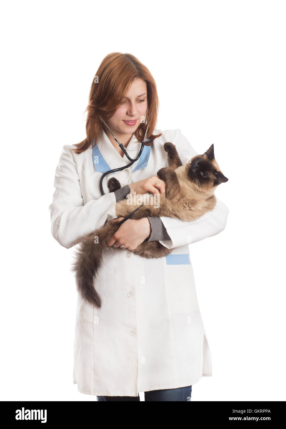 Doctor listens cat stethoscope hi-res stock photography and images - Alamy